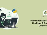 Introduction To Python For Ethical Hacking Beginner S Guide Codexcoach