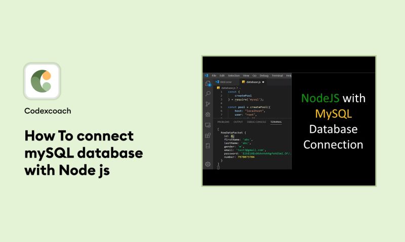 How To Connect MySQL Database With Node Js - CodexCoach