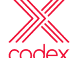 News Codex Execution Gmbh