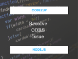 10 Resolve Cors Issue In Angular Mean Stack Codez Up