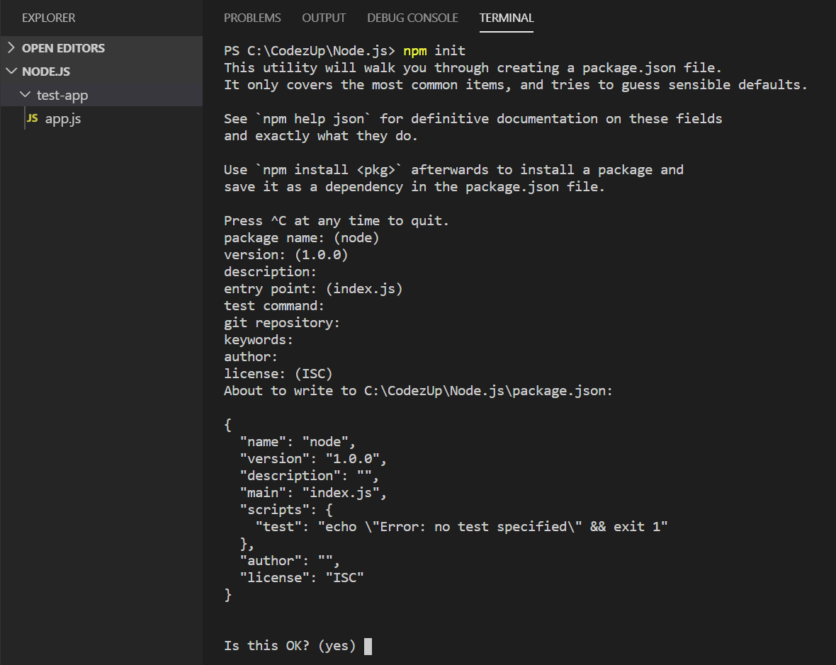 Initialize Node Modules & Install Validator in NodeJs | Codez Up