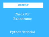 Python Program To Check For Palindrome Or Not Codez Up
