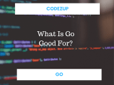 Basic Data Types In Golang Tutorial Codez Up