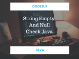 String Empty And Null Check Program In Java Codez Up