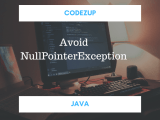 Avoid Nullpointerexception In Java Example Codez Up