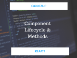 React Js Component Lifecycle And Its Methods Example Codez Up