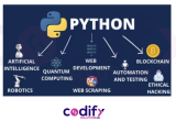 Python Introduction Codify Solutions