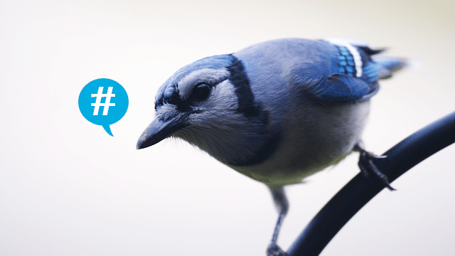 Así es como Twitter ha crecido en México | Código Espagueti