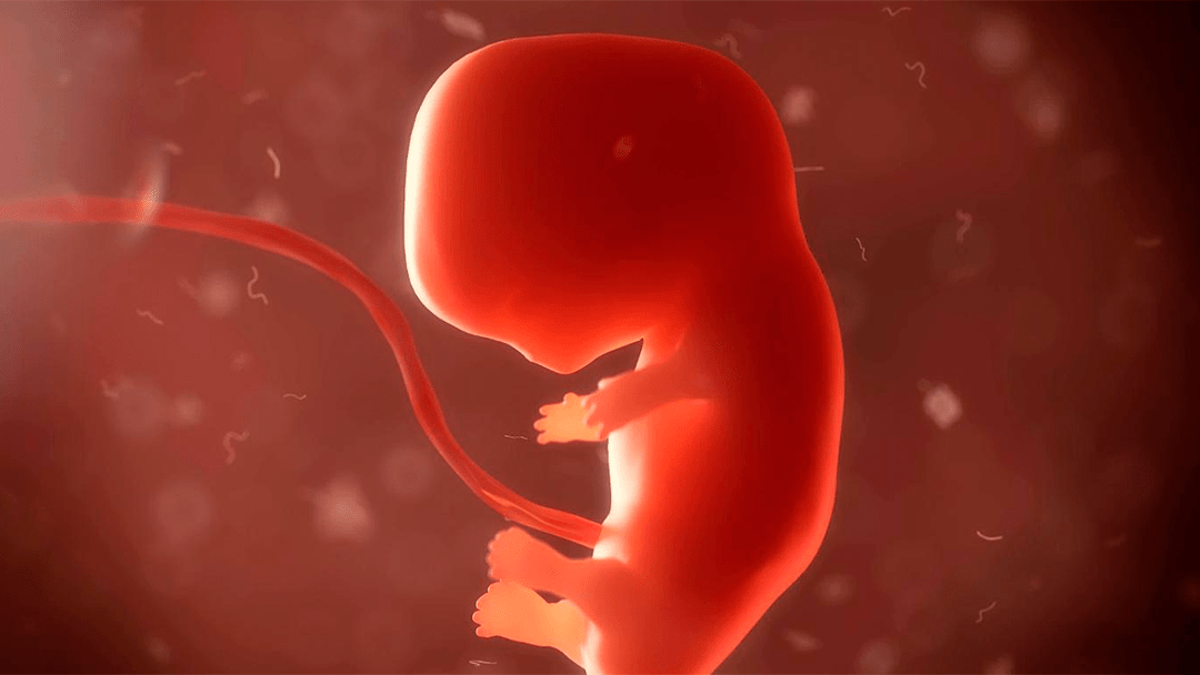 Mujer tiene una hija un año menor que ella... y la ciencia es la ...