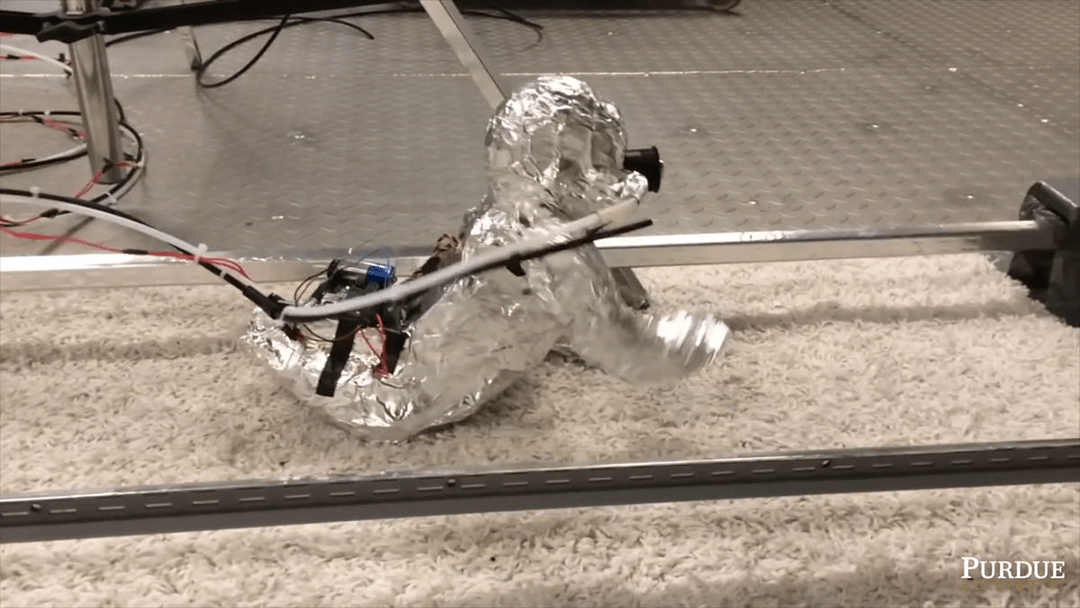 Este robot demuestra que cuando un bebé gatea inhala más polvo de lo ...