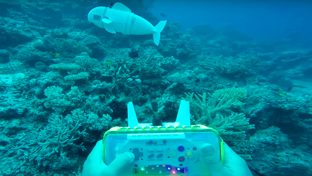 El MIT creó un pez robot que se maneja con un control de SNES | Código ...