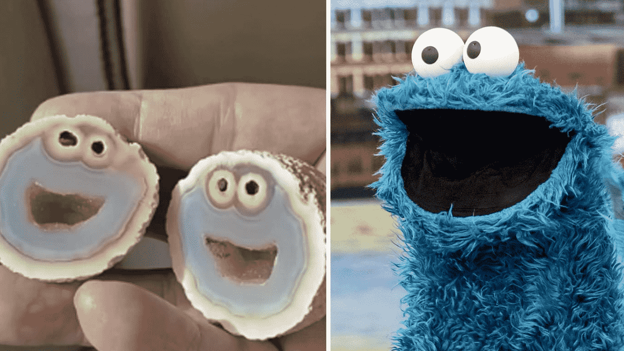 Encuentran extraña roca volcánica con forma de Cookie Monster | Código ...