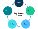Data Science Vs Data Analytics Codilime