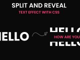 Split And Reveal Text Coding Artist