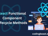 React Functional Component Lifecycle Methods Coding Beast