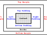 Codingbison Box Model Padding And Margin