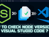 How To Check Node Js Version In Visual Studio Code Coding Campus