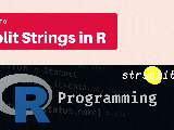 How To Split Strings In R Coding Campus