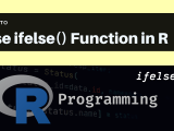 Ifelse Function In R With Examples Coding Campus