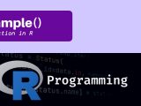 Sample Function In R Coding Campus