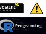 Trycatch Function In R Coding Campus