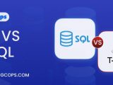 Sql Vs T Sql A Comparison And How To Choose Codingcops