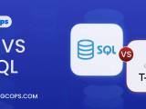 Sql Vs T Sql A Comparison And How To Choose Codingcops