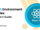Reactjs Environment Variables Easy Developer S Guide Codingcops