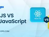 Reactjs Vs Plain Javascript Ultimate Guide On Their Differences