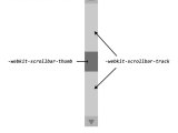 Css Webkit Scrollbar Not Working At Steven Barr Blog