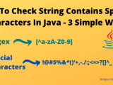 How To Check String Contains Special Characters In Java