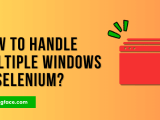 How To Handle Multiple Windows In Selenium 3 Easy Steps