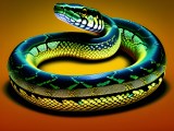 Automate Folder Renaming With Python And Excel Save Time