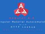 Angular Material Autocomplete With Http Lookup