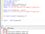 Sql Create Table Primary Key Identity Seed Cabinets Matttroy