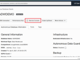 Import Json Data With Sql Developer Web Coding Sight