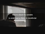 How To Check If A Variable Is Undefined Or Null In Javascript Coding