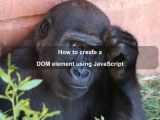 How To Create A Dom Element Using Javascript Coding Tips And Tricks