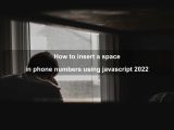 How To Insert A Space In Phone Numbers Using Javascript 2022 Coding