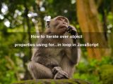 How To Iterate Over Object Properties Using For In Loop In Javascript