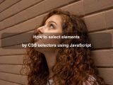 How To Select Elements By Css Selectors Using Javascript Coding Tips