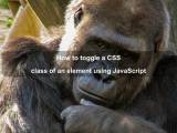 How To Toggle A Css Class Of An Element Using Javascript Coding Tips