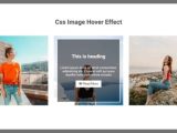 Css Image Hover Effect Using Html Css Css Image Card Hover Effect