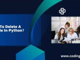 How To Delete A Variable In Python Methods Explained