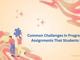 Common Challenges In Programming Assignments