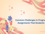 Common Challenges In Programming Assignments
