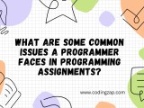 Common Challenges In Programming Assignments