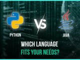 Python Vs Java Which Programming Language Suits You Best