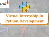 Virtual Internship In Python