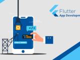 Flutter Developer Program Codzskill